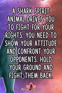 Shark Symbolism & Meaning: The Symbol Of Power And Superiority - About ...