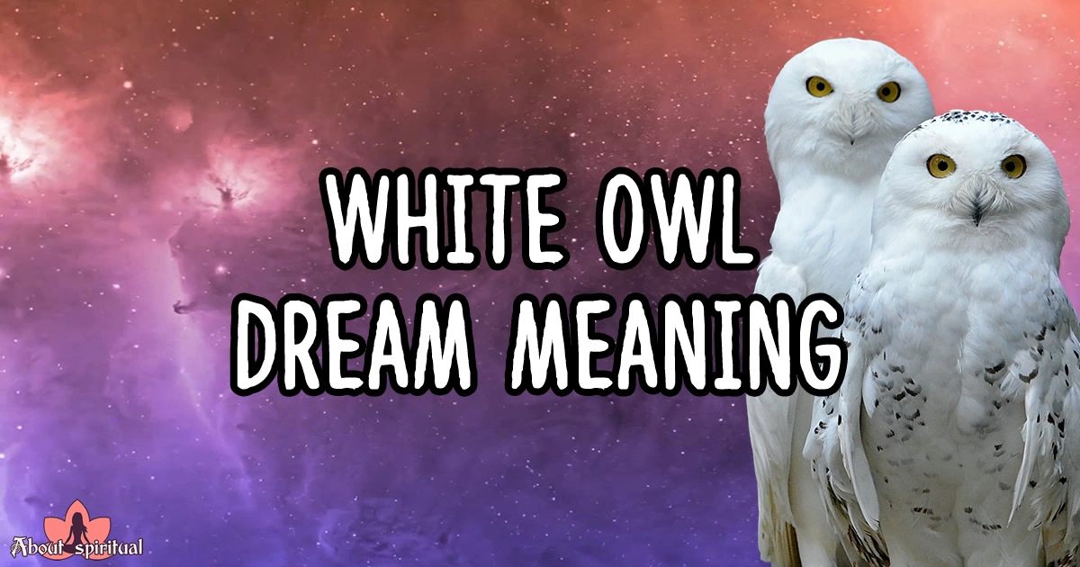 White Owl Dream Meaning & Symbolism: 13 Interpretations You Should Look ...