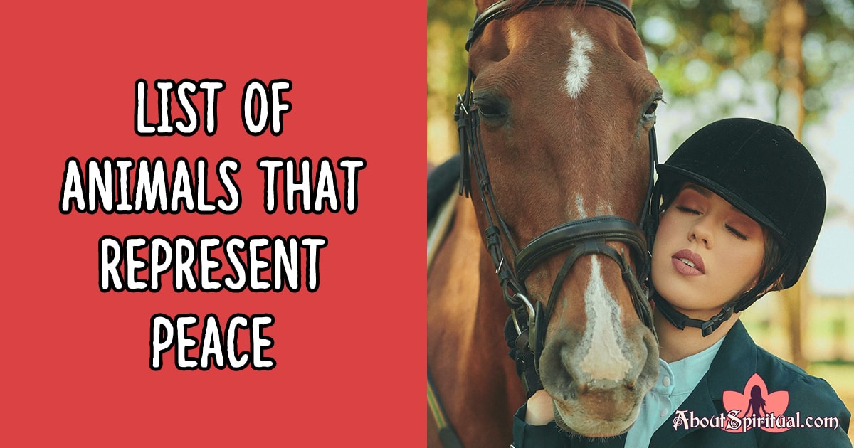 23 Animals That Represent Peace: Finding Solace in the Animal Kingdom ...